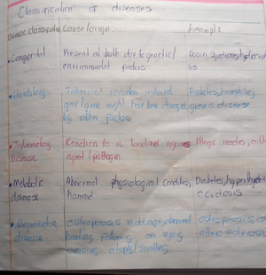 [Solved] List 5 qualities each of positive and negative role model ...