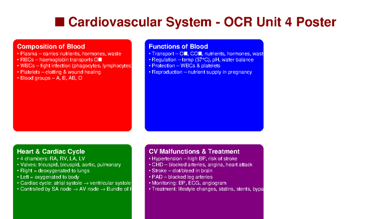 Cardiovascular System OCR Unit 4 Revision Poster - Studocu