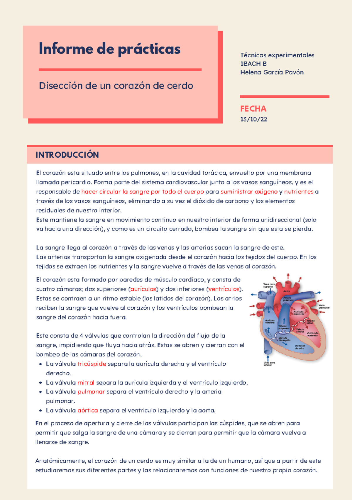 Hoja De Trabajo De Disección Del Corazón DISECCIÓN DE UN CORAZÓN,