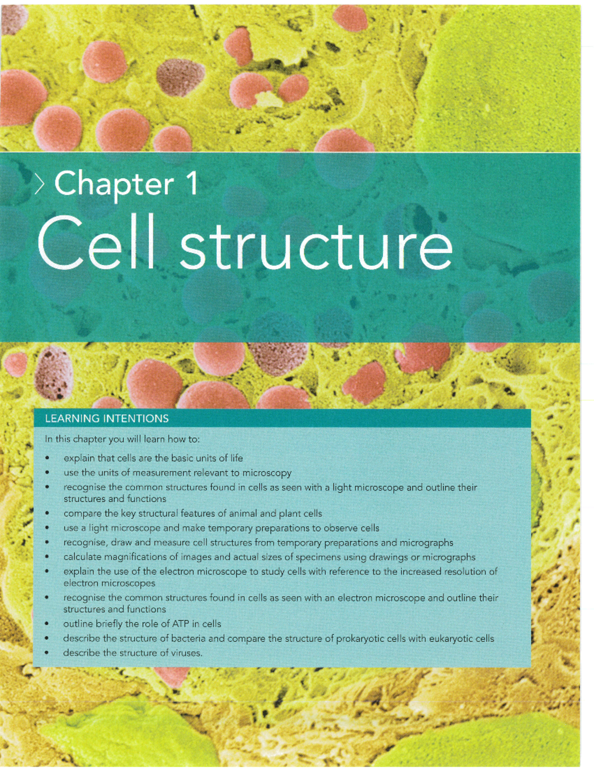 Cambridge Biology AS&A Chapter 01: Understanding Cell Structure ...