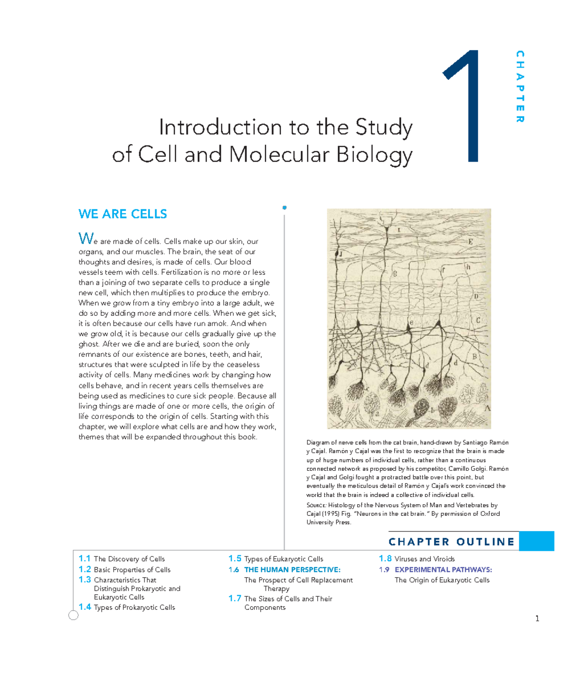 Cell and Molecular Biology (CMB 101) Chapter 1: Exploring Cells - Studocu