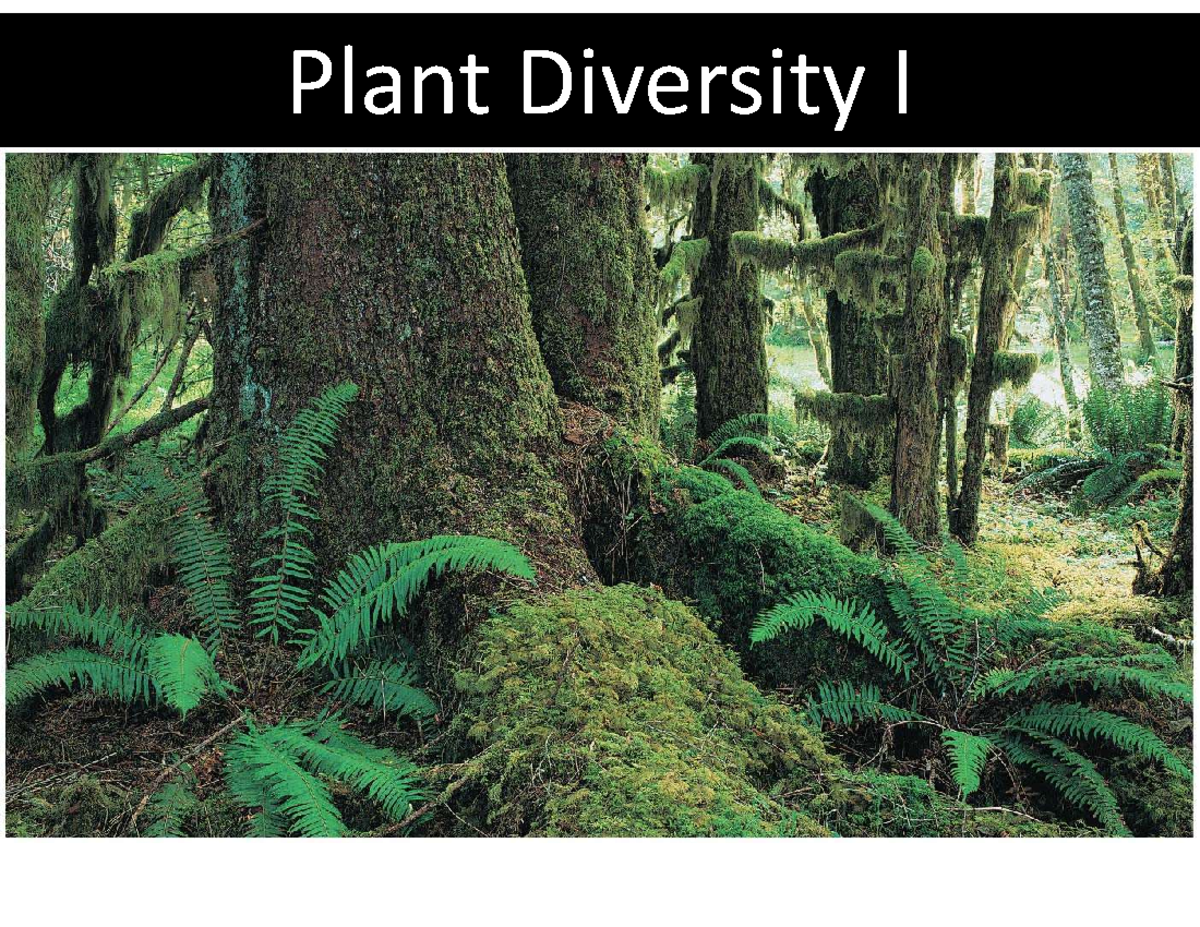 Plant Diversity I: Vascular & Non-Vascular Seedless Plants Evolution ...