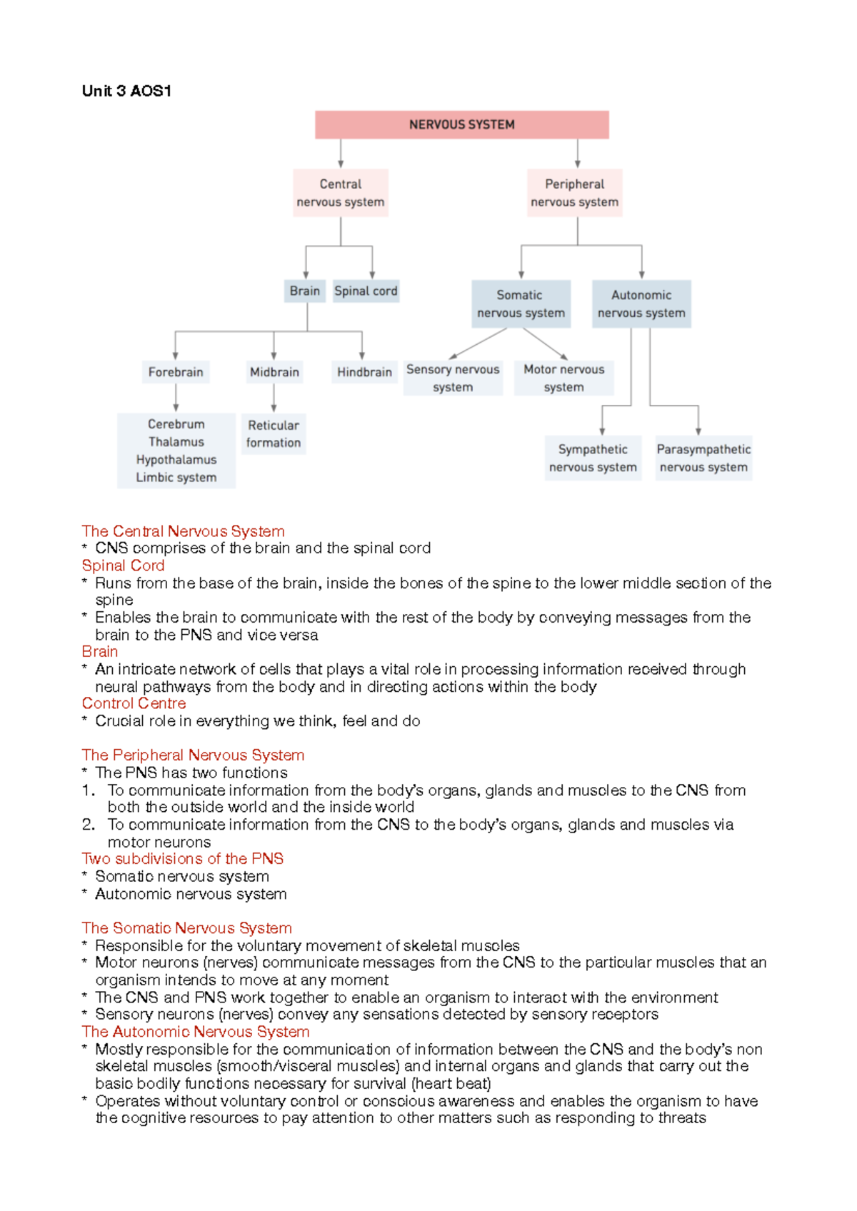 Psychology Exam Revision - Unit 3 AOS The Central Nervous System *CNS ...