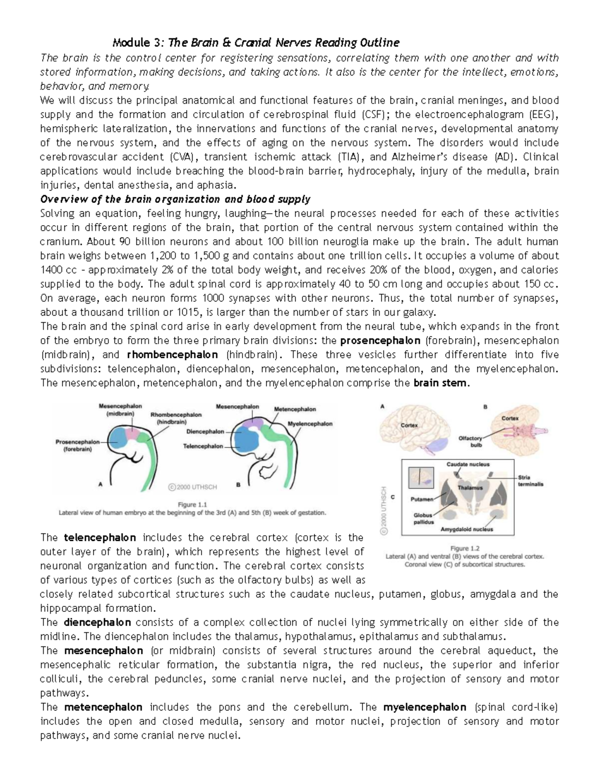 Module 3: The Brain & Cranial Nerves Overview and Key Concepts - Studocu