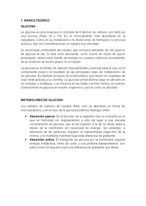 Músculo cardíaco (inotropismo y lusitropismo) - Músculo cardíaco ...