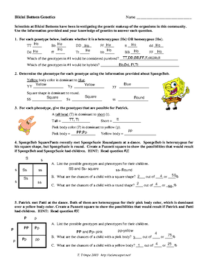 Gizmo Exploration: Food Chain - Student Exploration: Food Chain ...