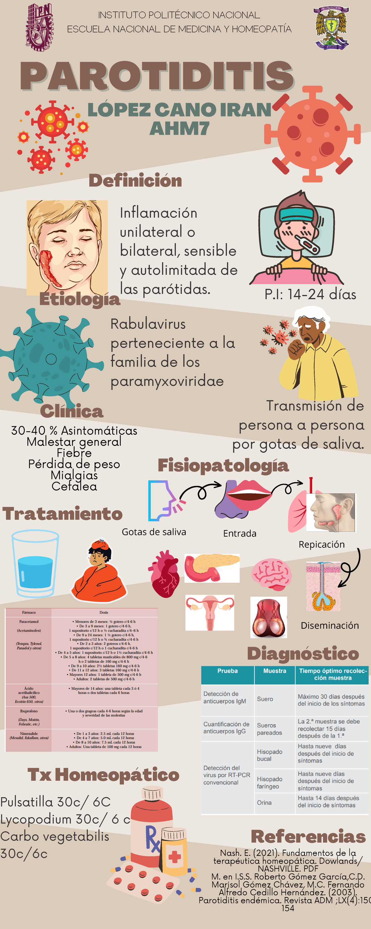Infografía Parotiditis - Fisiopatología PAROTIDITIS PAROTIDITIS LÓPEZ ...