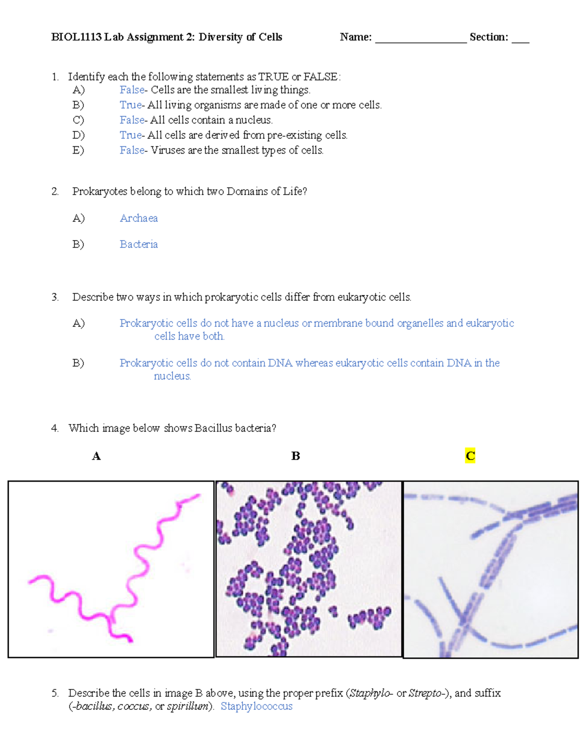 BIOL1113 Lab 2: Exploring Diversity of Cells in Living Organisms - Studocu