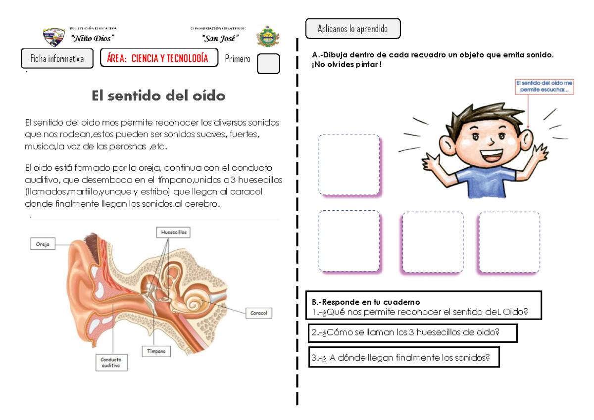 Ficha 10 DE Ciencia -L Sentido DEL OIDO - . El sentido del oído El ...