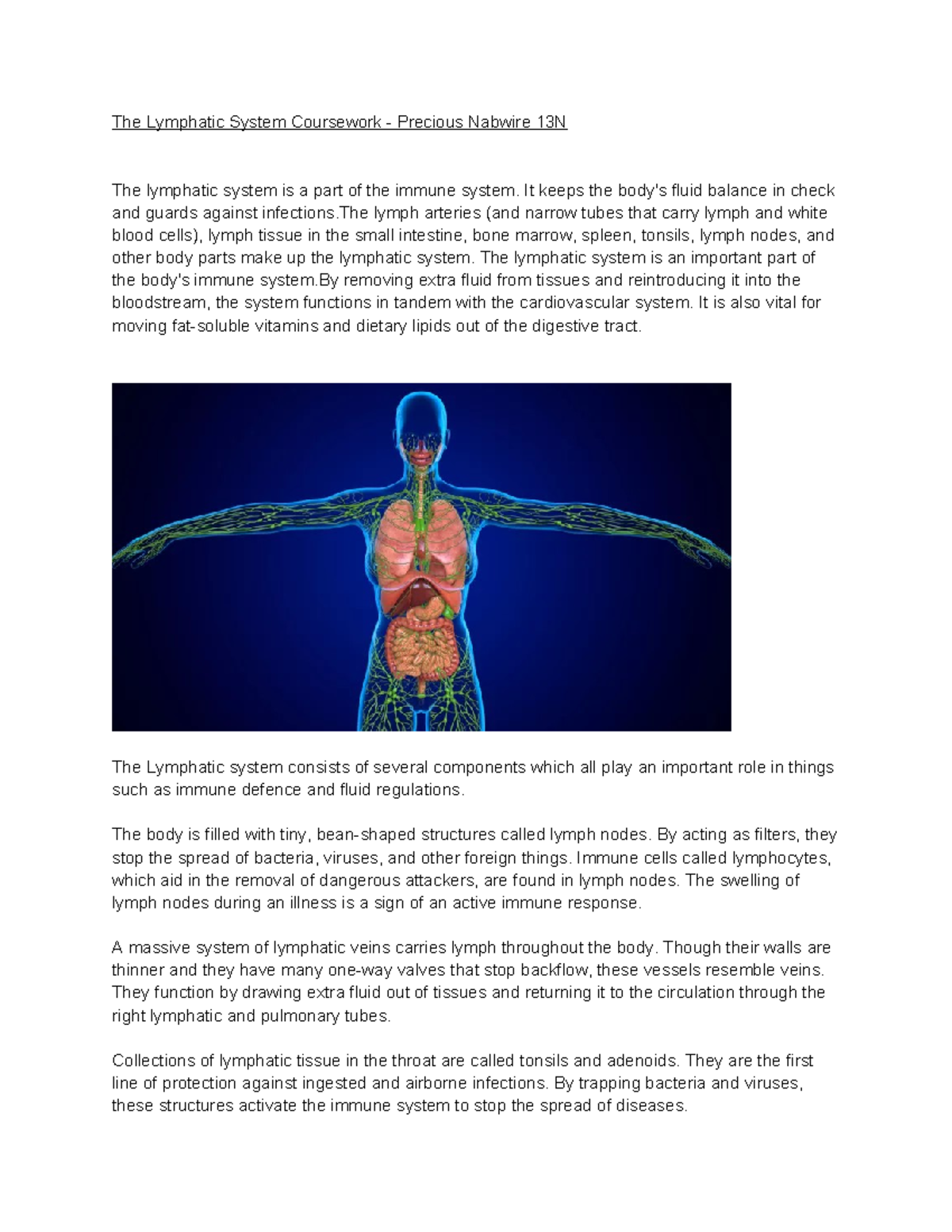 Lymphatic System Coursework (BIO 101) - Study of Immune Function - Studocu