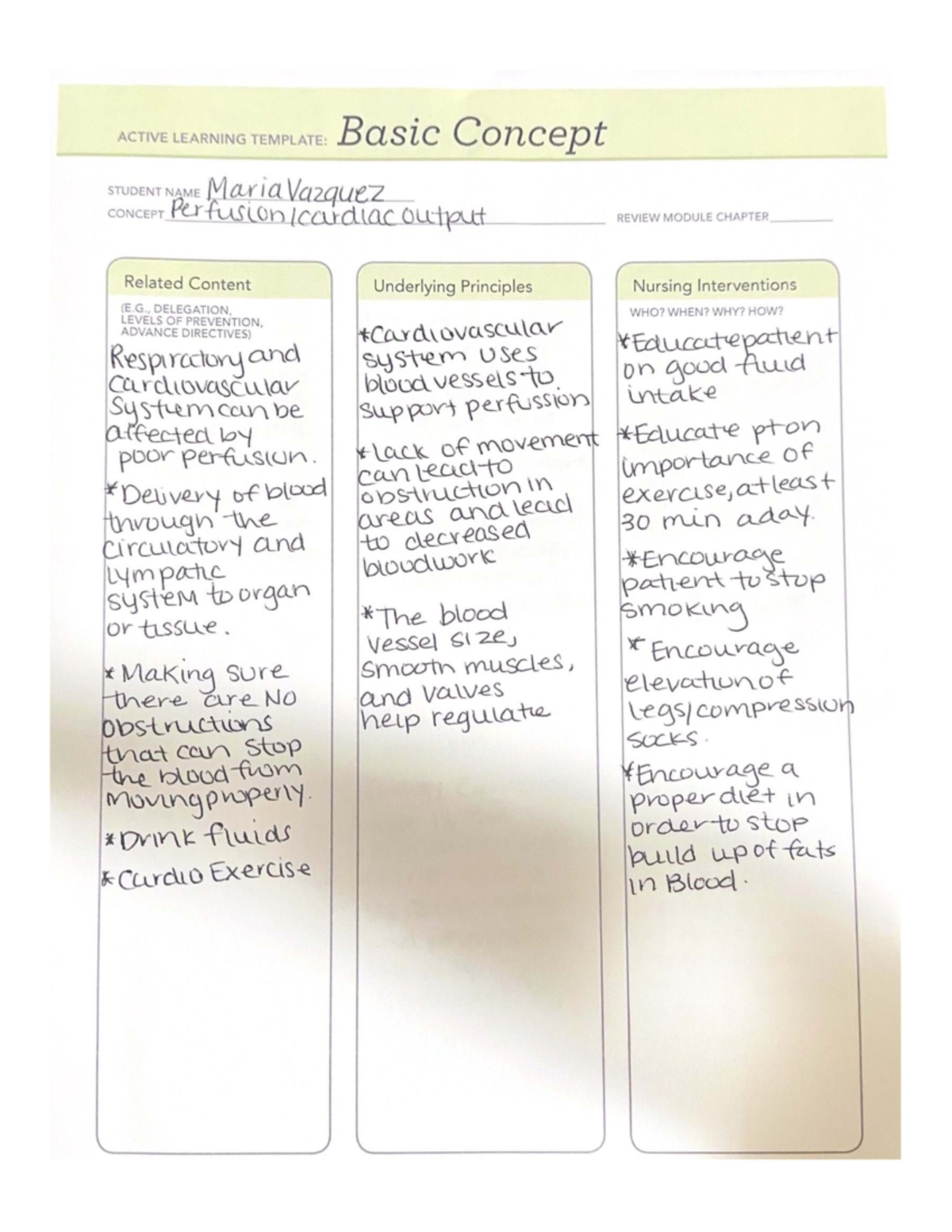 Active Learning Template: Basic Concepts in Perfusion & Metabolism ...