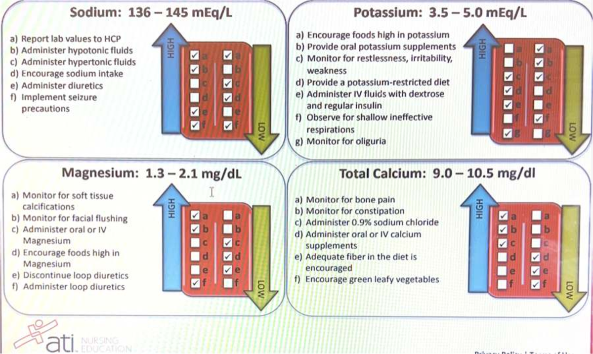 Electrolyte Management: Nursing Interventions & Lab Values (NURS 101 ...