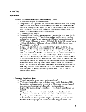 - DNA Replication Worksheet Practice with Chargaff Rule - Name