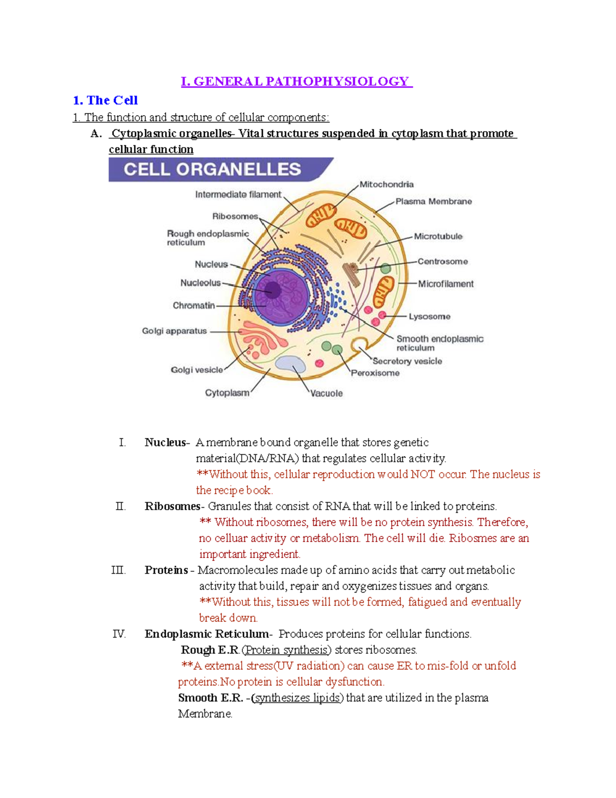 Pathophysiology - The Cell and the components -PA - I. GENERAL ...