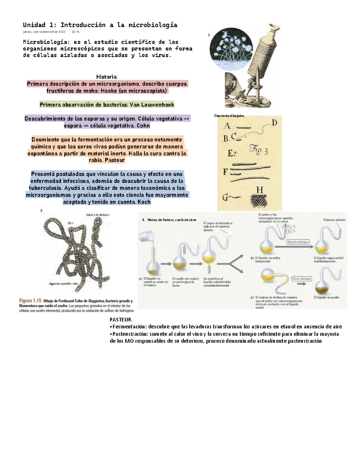 Microo Unidad 1 - Apunte propio y breve para introducir a la historia ...