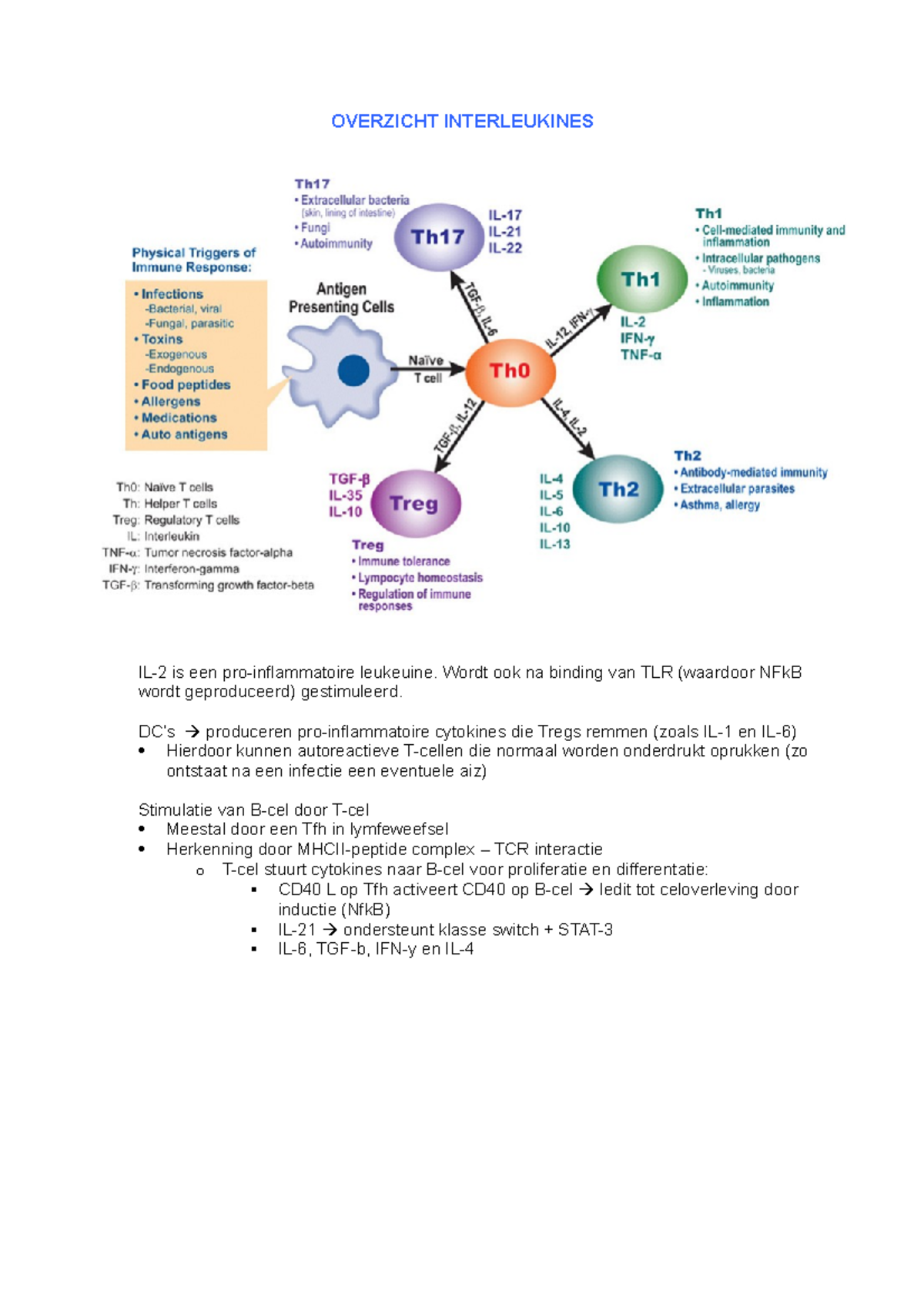 Overzicht van de Functies van Interleukines en Cytokines - Studeersnel