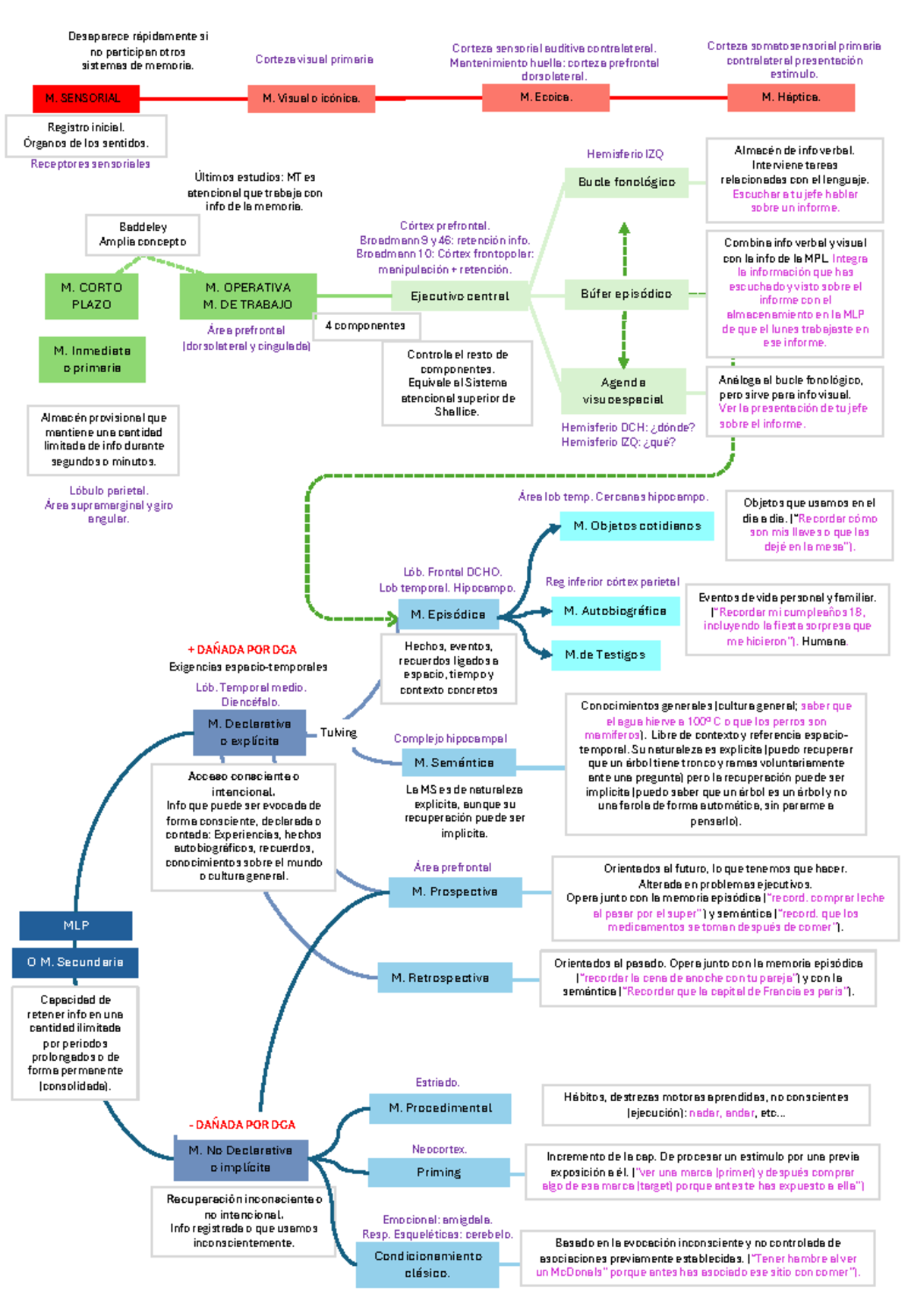 Esquema de Memorias: Tipos y Funciones en la Cognición Humana - Studocu