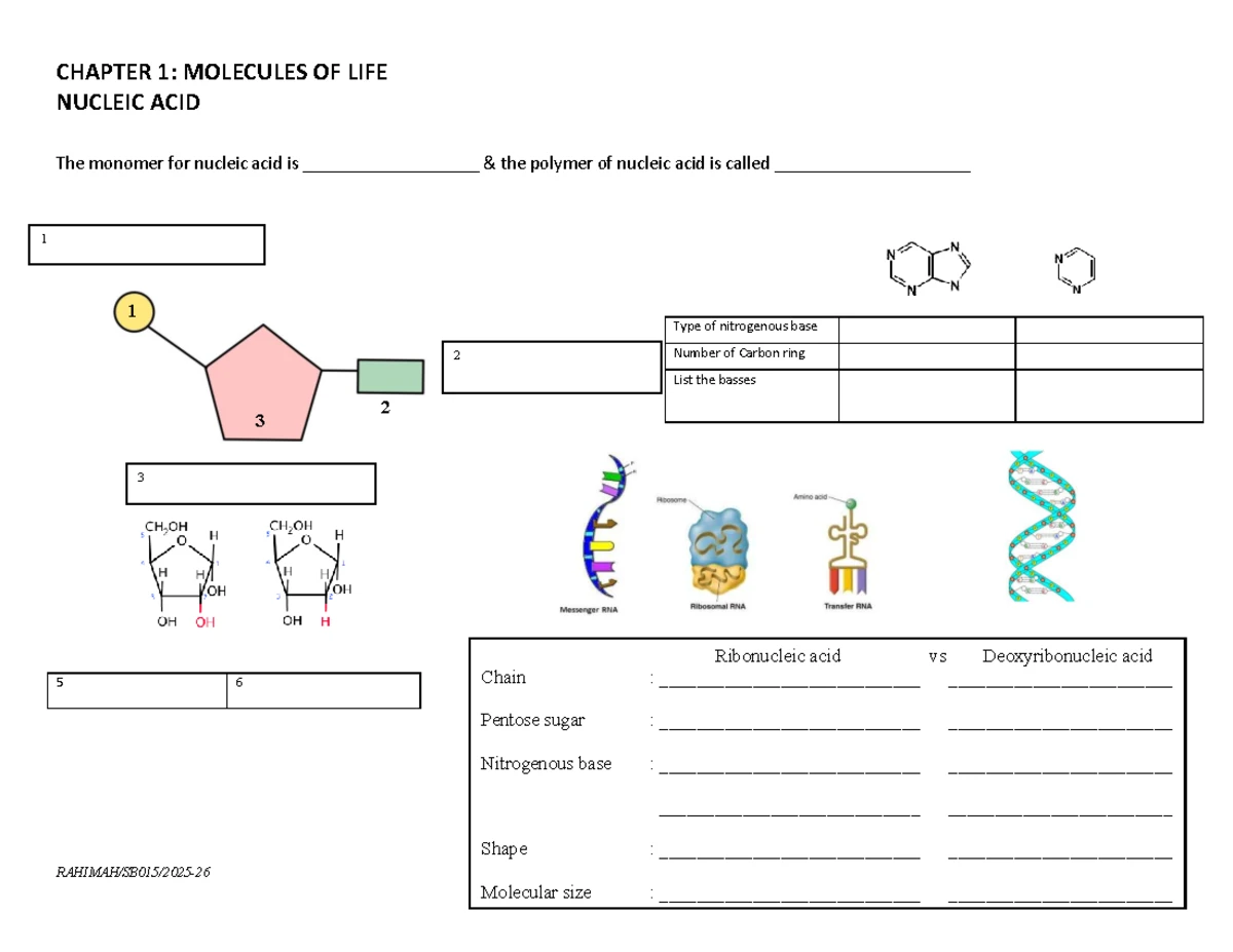 Lipid SB015 2025-26: Chapter 1 - Molecules of Life - Studocu