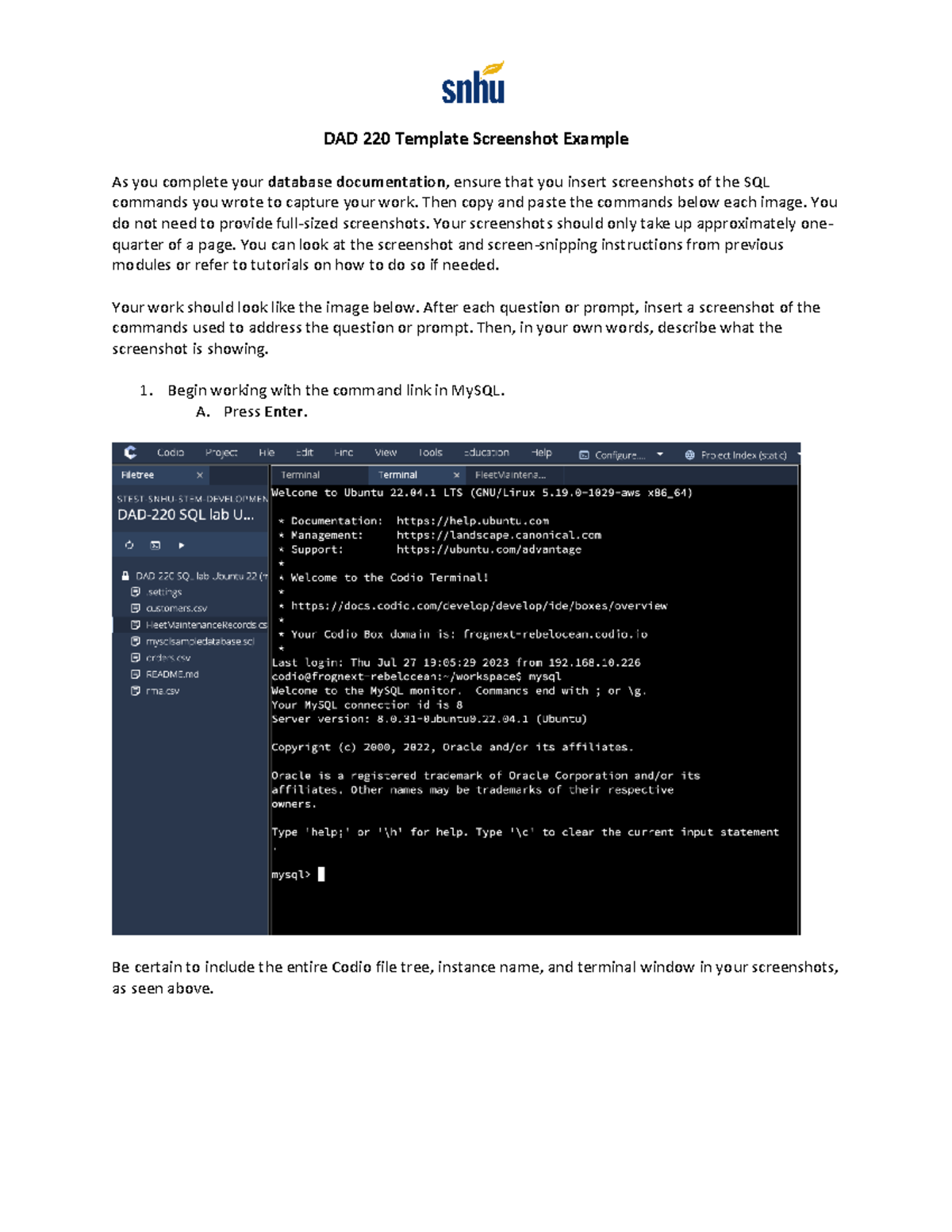 DAD 220 SQL Command Documentation Template with Screenshots - Studocu