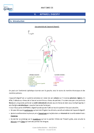 Rétropéritoine cours 1 - Anatomie de la mise en place du rétropéritoine ...