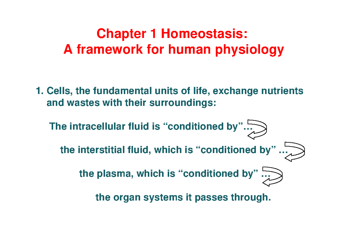 Homeostasis - These are notes on unit 1 in the introduction to ...