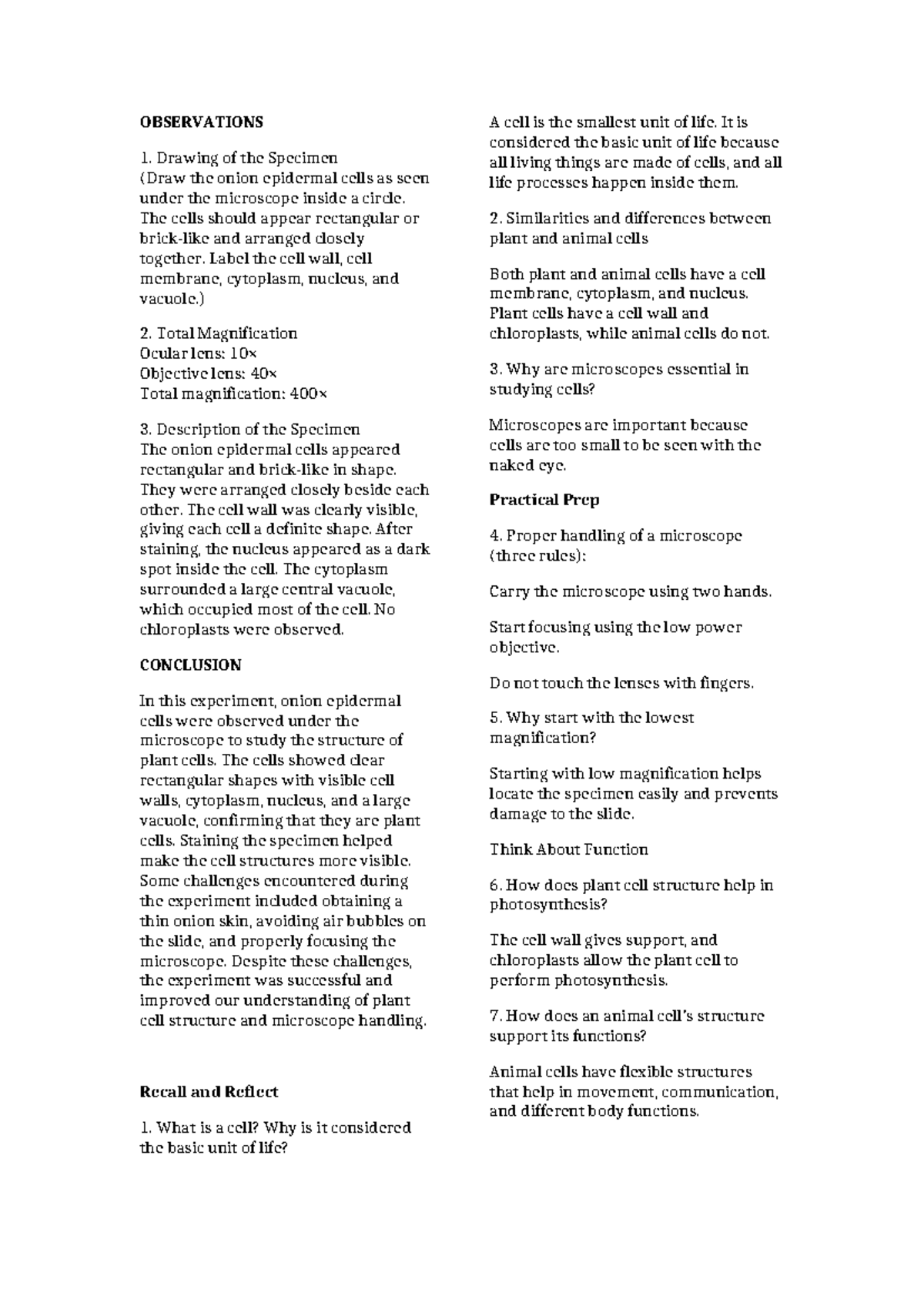 Onion Epidermal Cell Lab Report: Microscopic Observations and Analysis ...