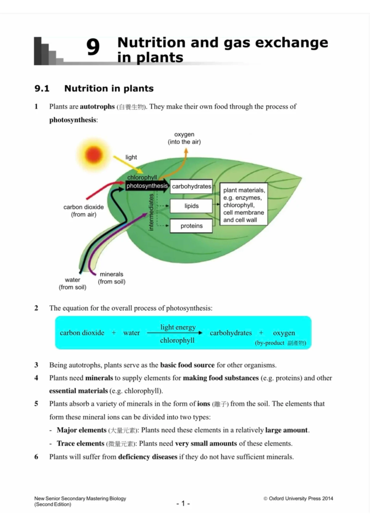 Bio CH.5 Human Nutrition Overview and Key Concepts Notes - Studocu