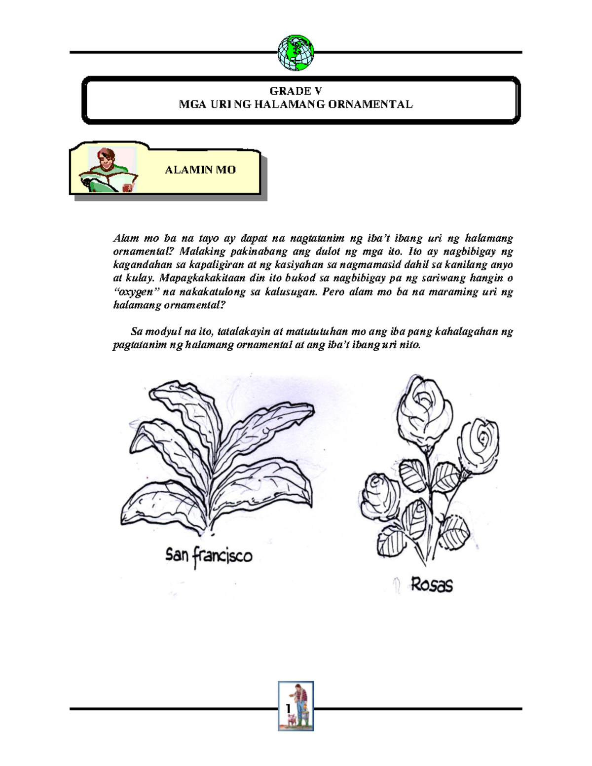 27.Mga Uri ng Halamang Ornamental(2) - GRADE V MGA URI NG HALAMANG ...