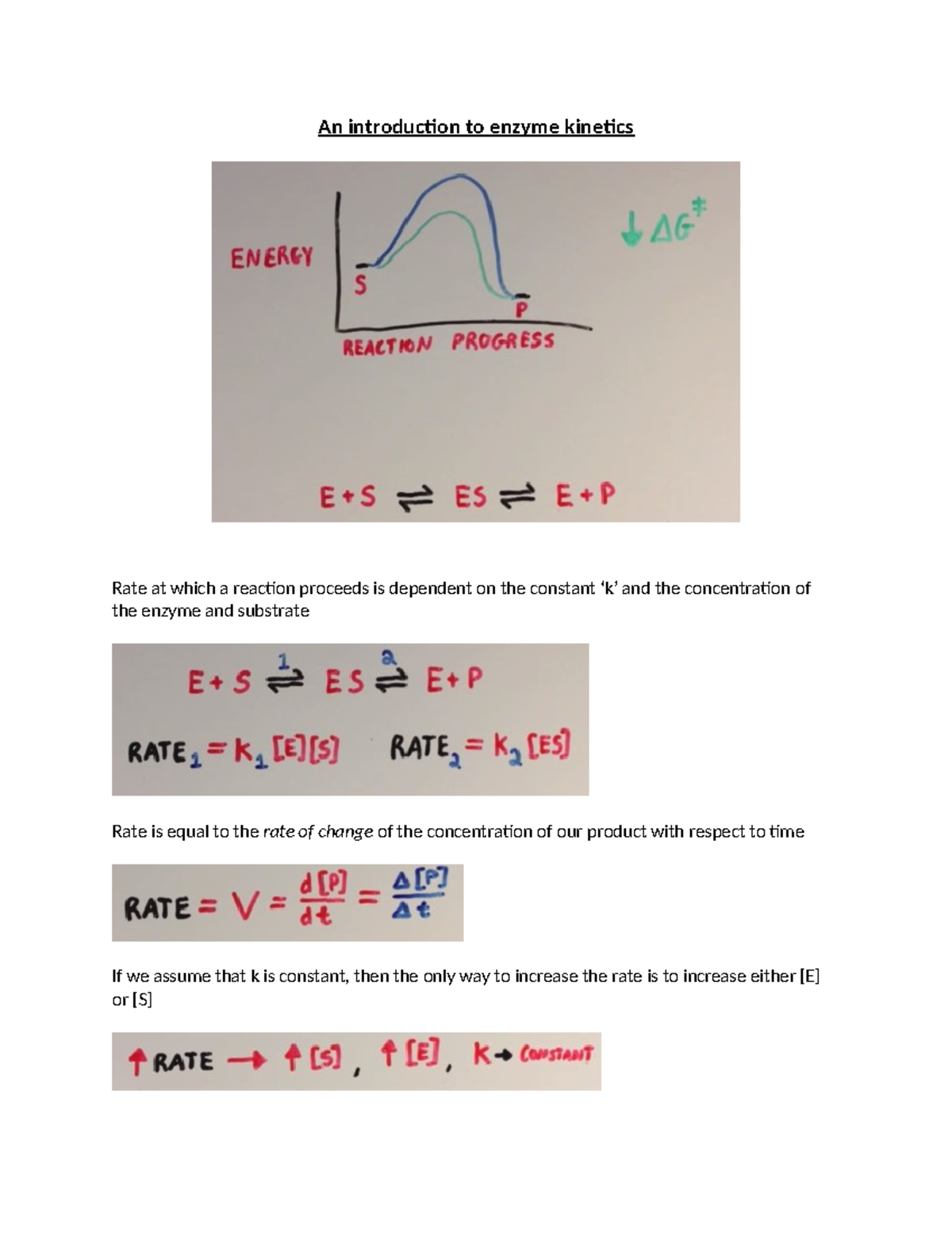 B⁄B (1b - Biomolecules –– Enzyme kinetics) [controlled docx] - An ...