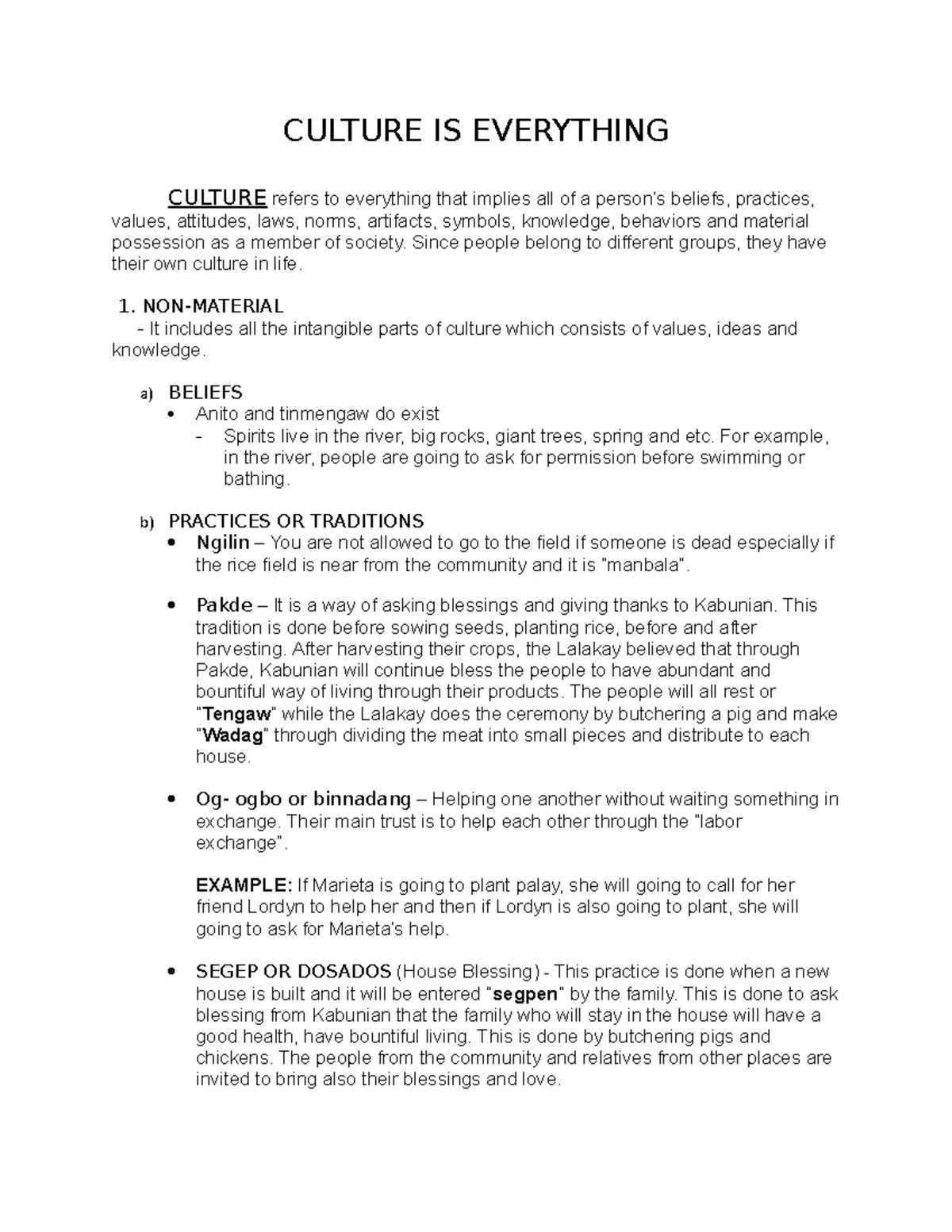 Culture IS Everything: An In-Depth Overview of Cultural Practices and ...