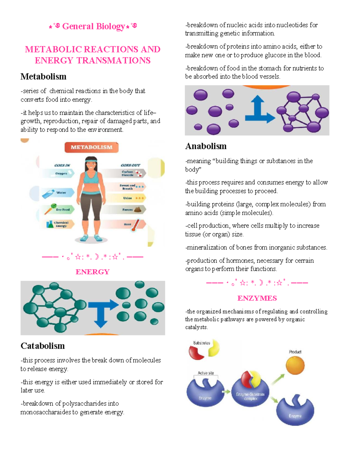 Metabolic Reactions and Energy Transformations in General Biology (BIO ...