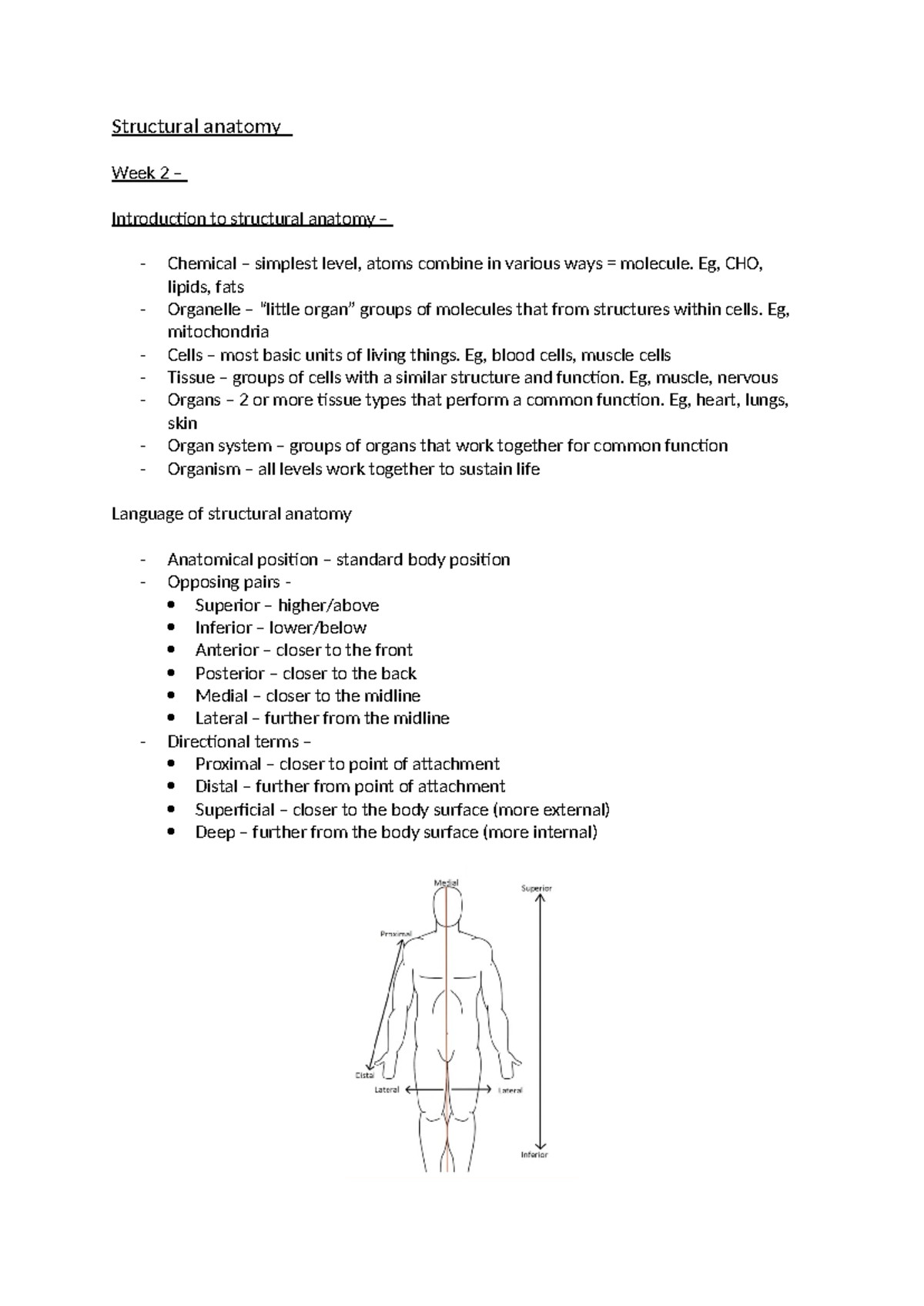 Structural Anatomy - Complete Study Notes and Overview - Studocu