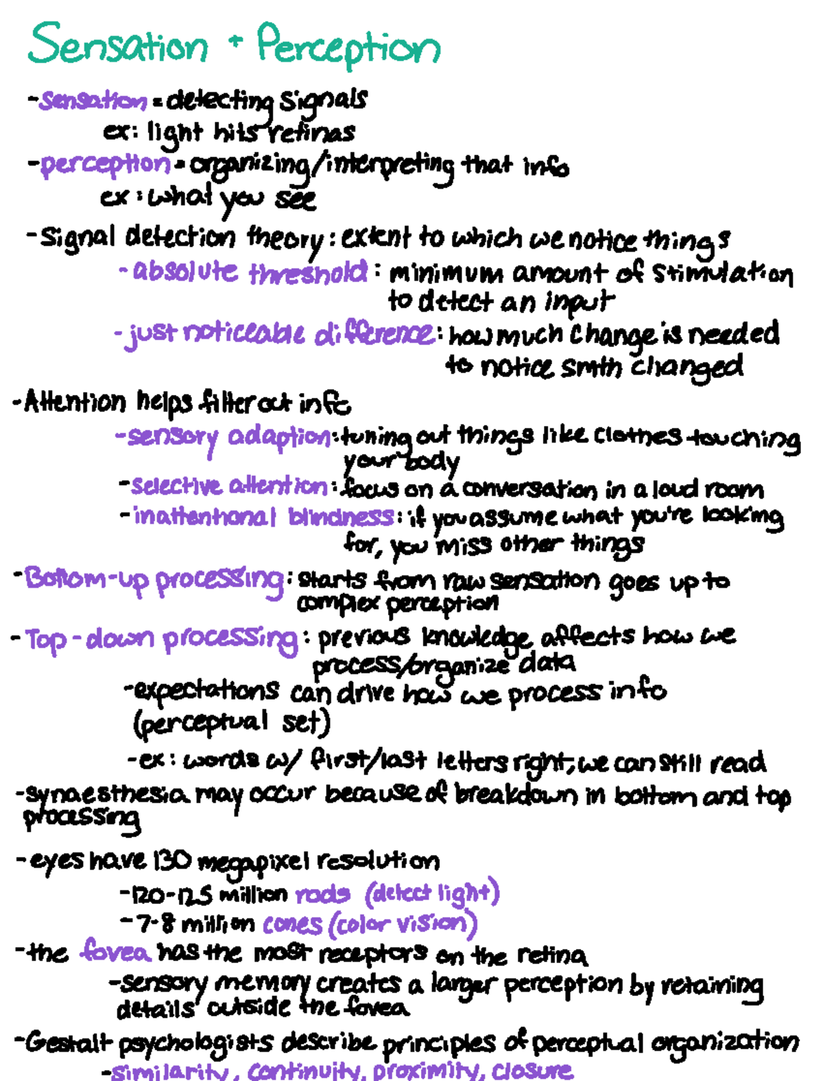 Final Exam Study Guide for Course CODE 101: Sensation, Perception, and ...