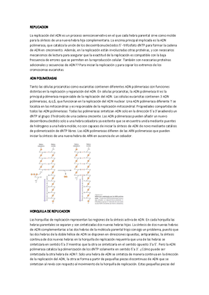 [Solved] a Explique en qu consiste el transporte simporte de membrana ...