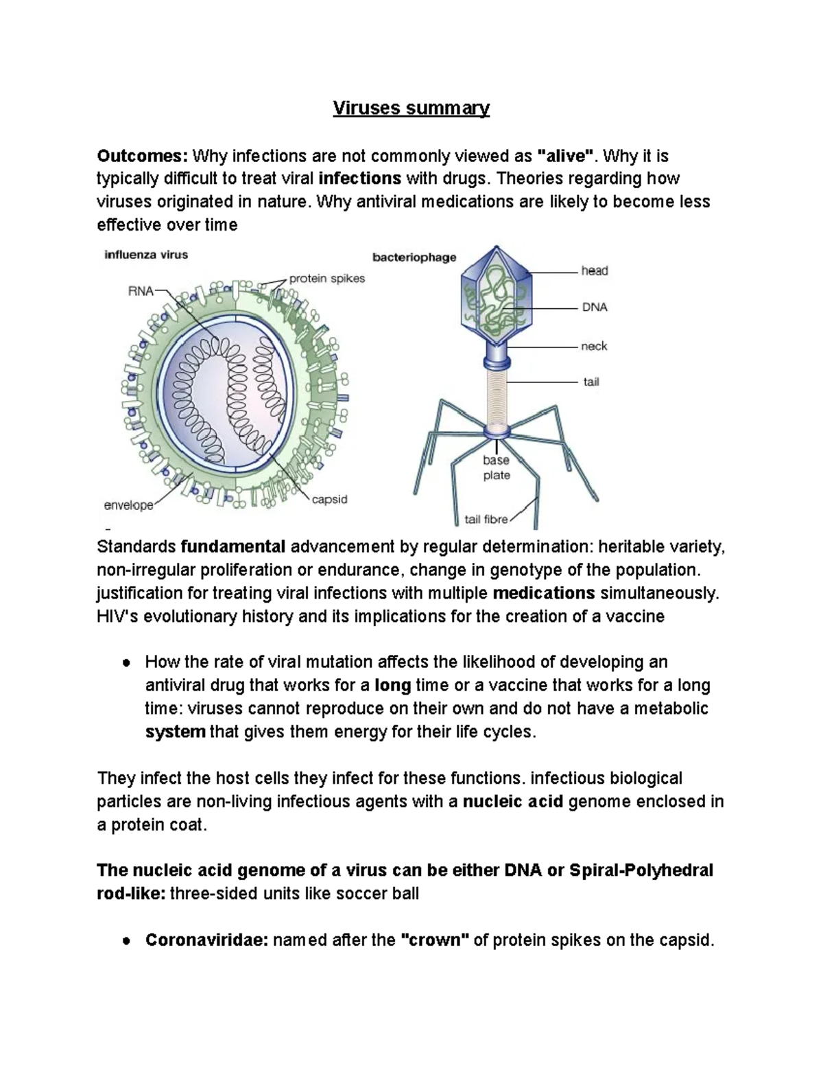 Viruses Summary: Understanding Their Nature and Treatment Challenges ...