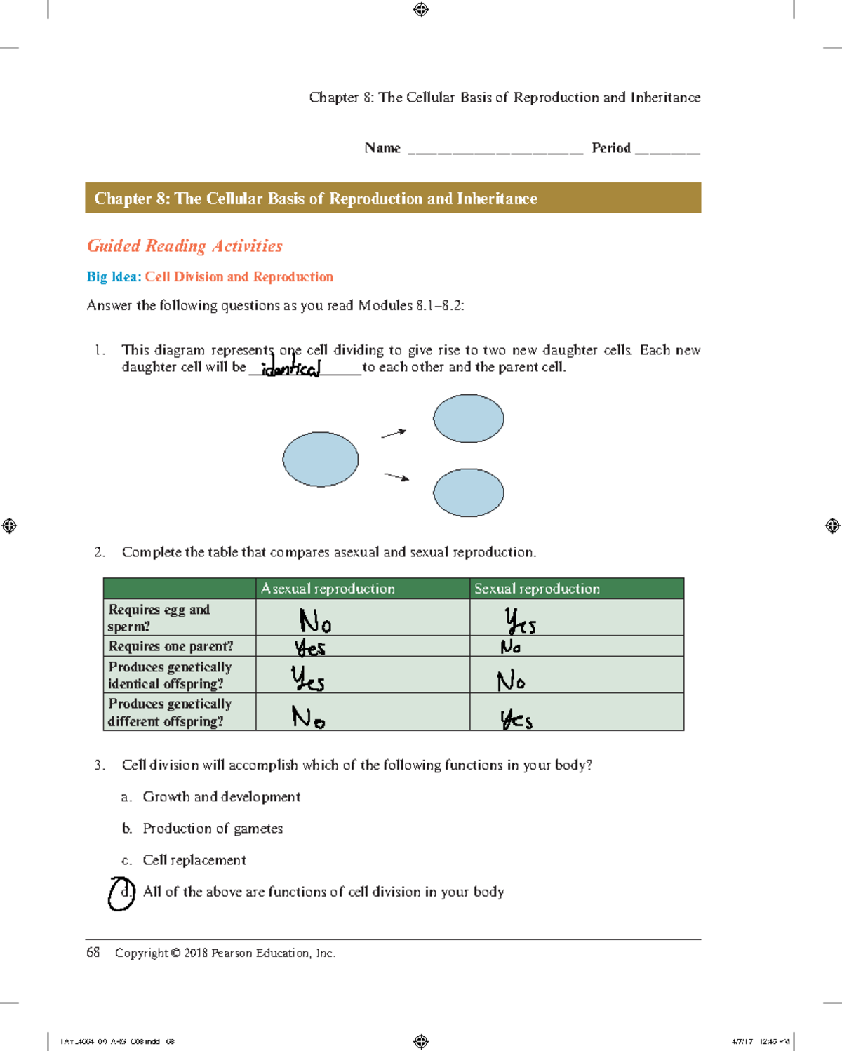 Ch. 8 Guided Reading: Cell Division & Reproduction Insights - Studocu