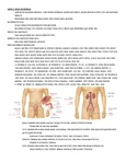 Med Term Ch 11 - chapter 11! - MEDICAL TERMINOLOGY - Chapter 11 ...