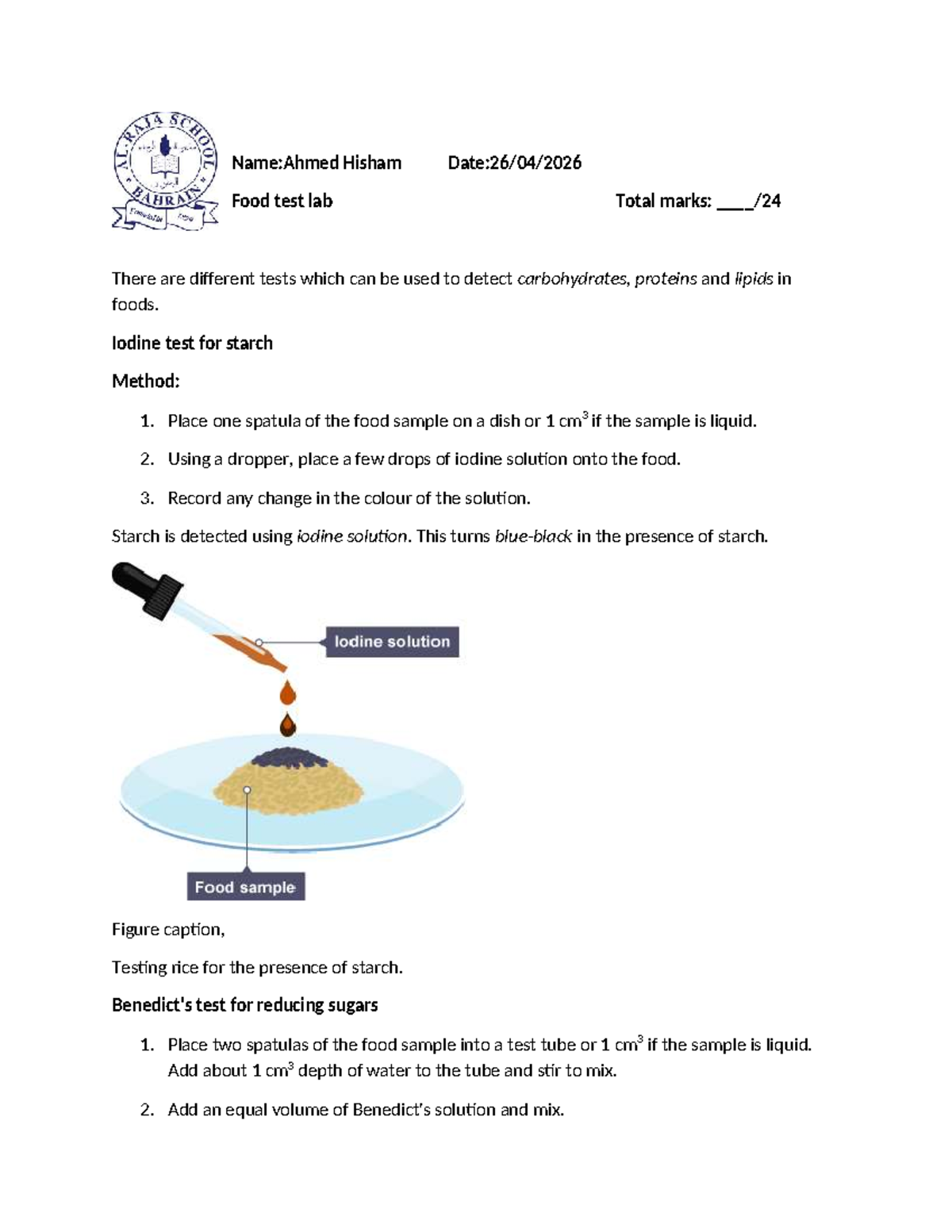 Food Test Lab (2025-2026): Detecting Carbs, Proteins, and Lipids - Studocu