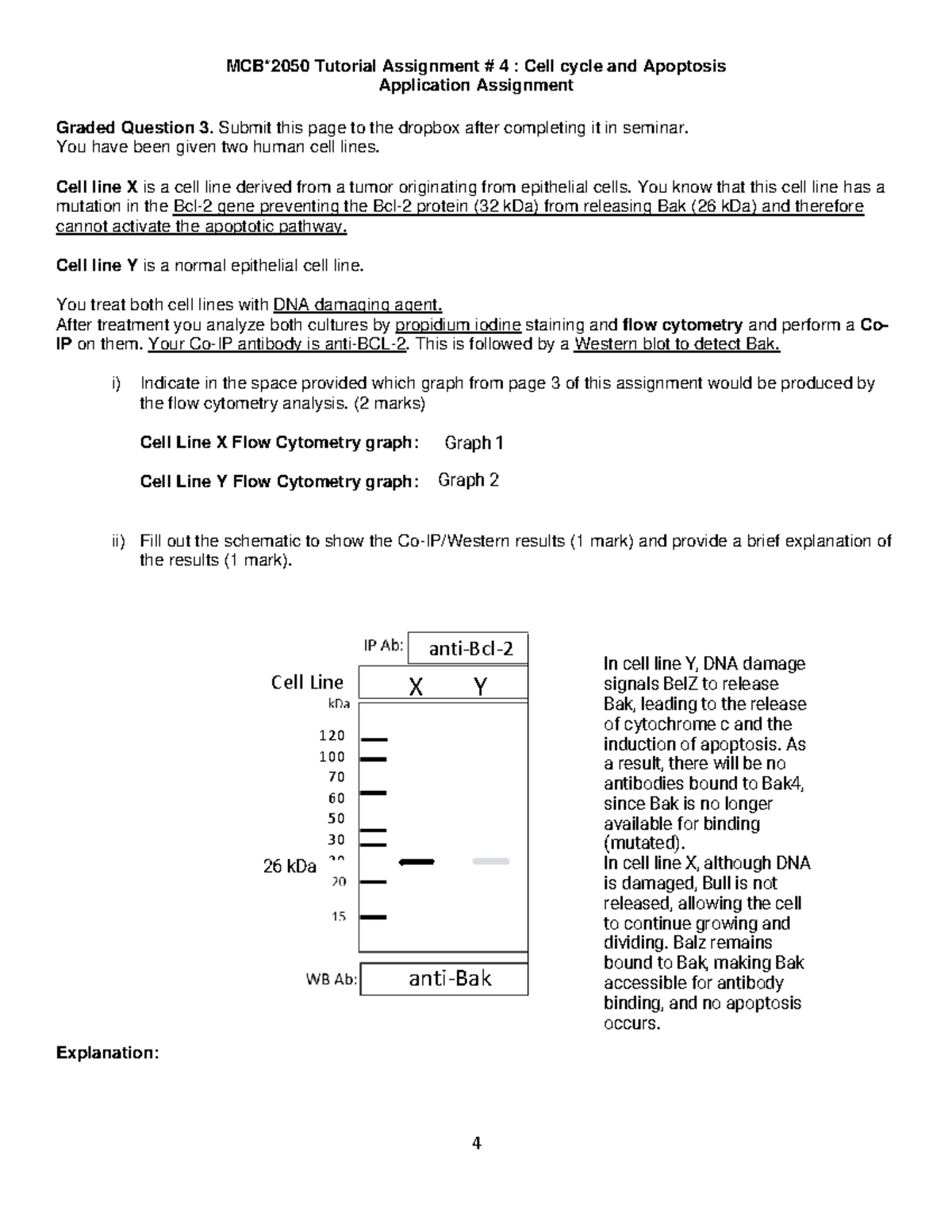 Tutorial Assignment 4: Cell Cycle & Apoptosis Analysis - Studocu