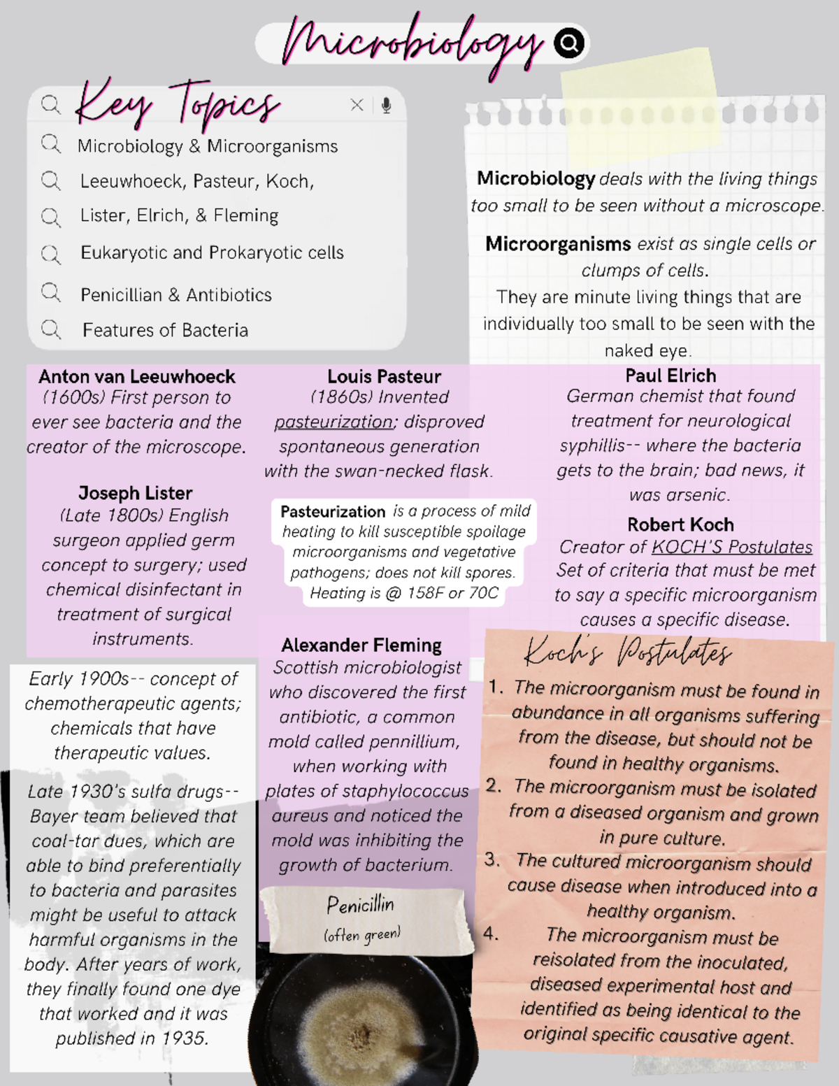Microbiology Notebook - Microbiology Q a Key Topics Microbiology ...