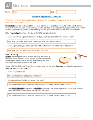 Lesson 33 - Gizmo Building Pangaea - Name: Aubrey Petrow Date: 11/28 ...