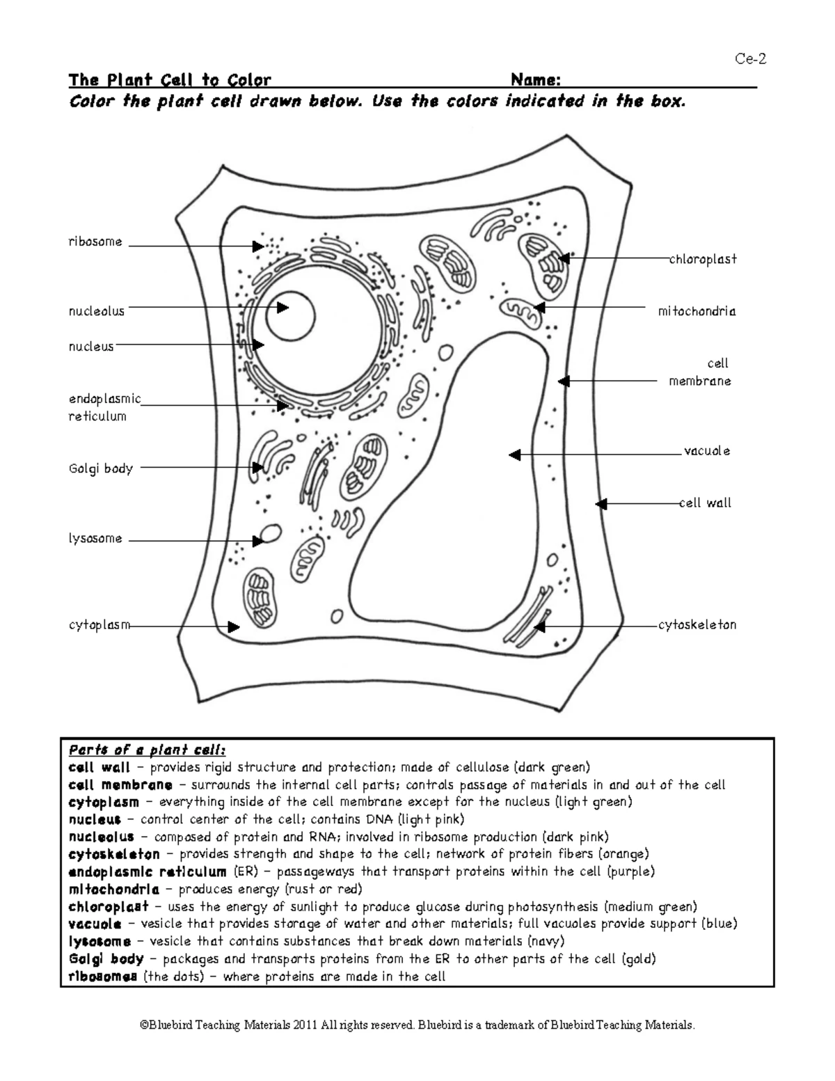 Plant Cell Color & Worksheet (Biology 101) - Studocu