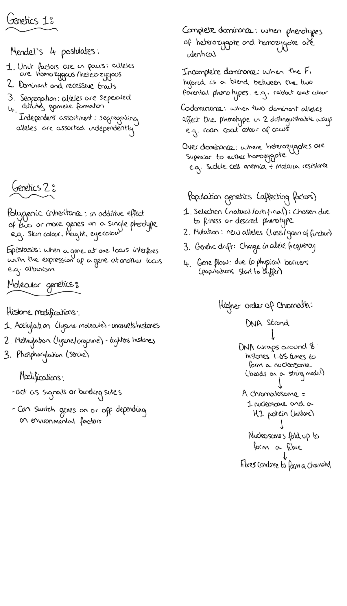 DNA and Genetics - Terminology, nucleotides, DNA replication and ...