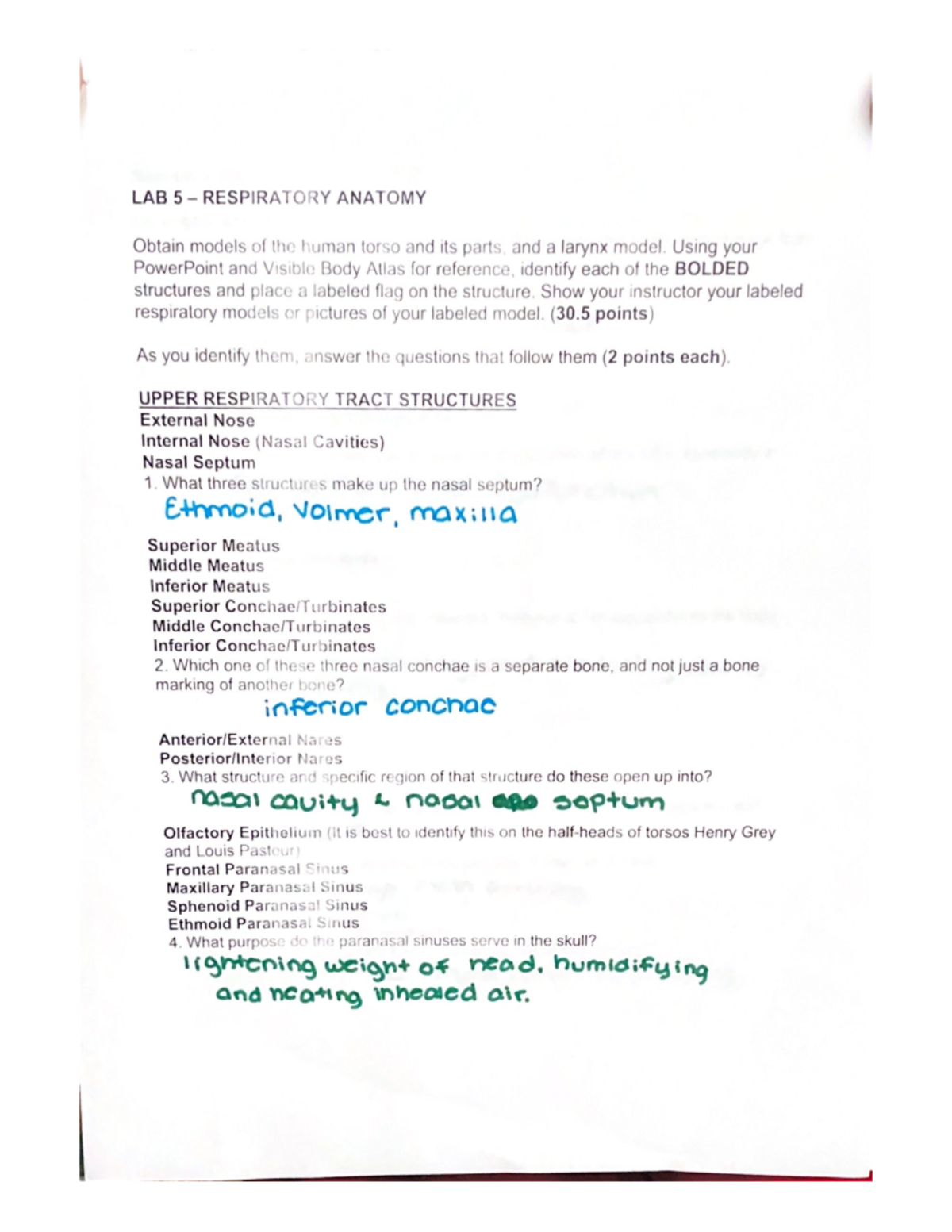 LAB 5 - Respiratory Anatomy 2 - LAB 5 RESPIRATORY ANATOMY Obtain models ...