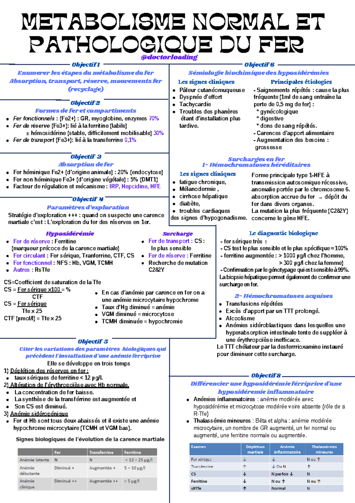 Metabolisme Normal ET Pathologique DU FER - METABOLISME NORMAL ET ...