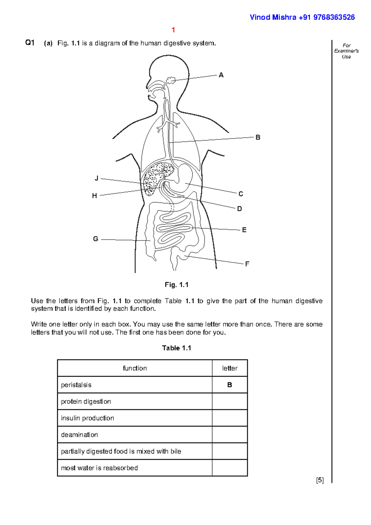 Biology Test Notes - Human Digestive & Circulatory Systems (Bio ...