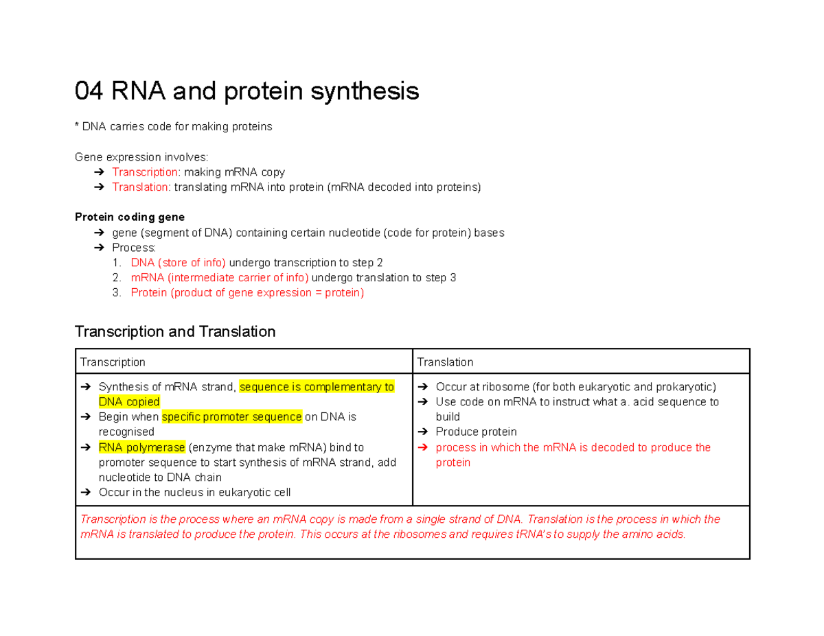 S2 BIO notes - 04 RNA and protein synthesis DNA carries code for making ...