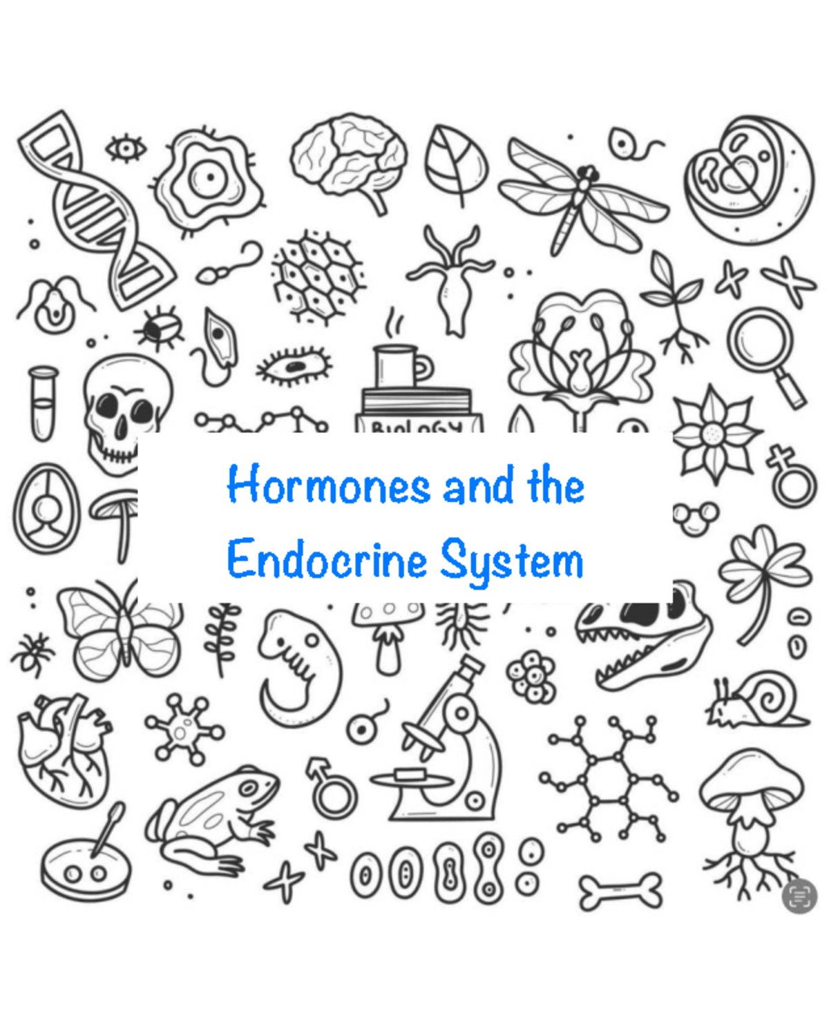 Hormones and the Endocrine System: Chapter 45 Study Guide - Studocu