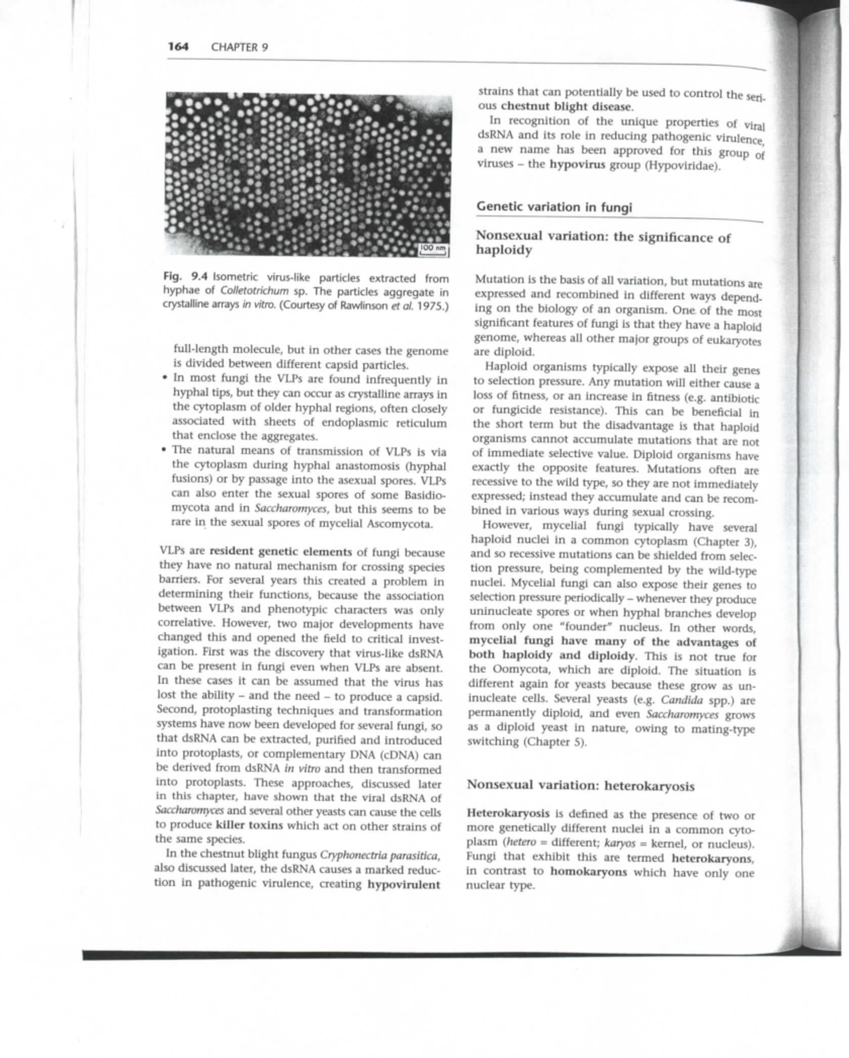 Fungal Genetics (164): Heterokaryosis & Parasexuality Mechanisms - Studocu
