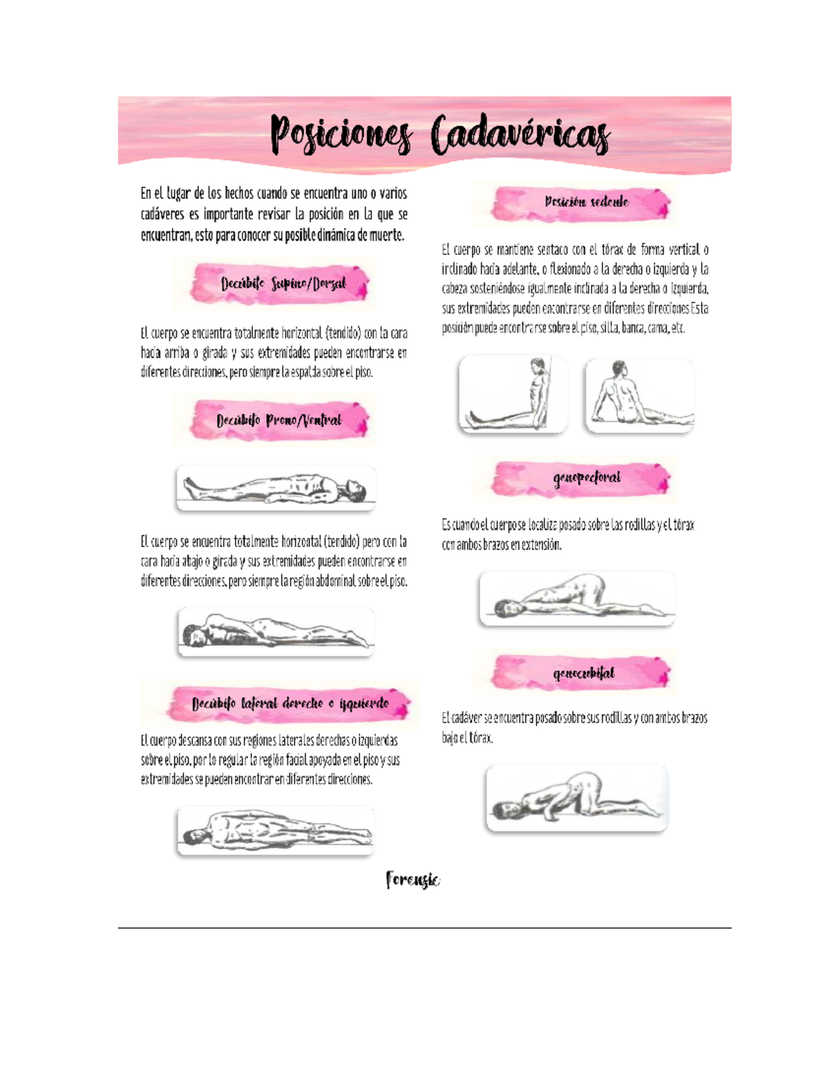 Tarea sobre Posiciones Cadavéricas para el Curso de Anatomía - Studocu